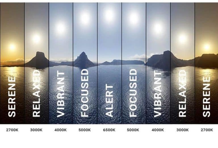 Tunable Lighting Improves Productivity in Office Setting in St. Paul, MN